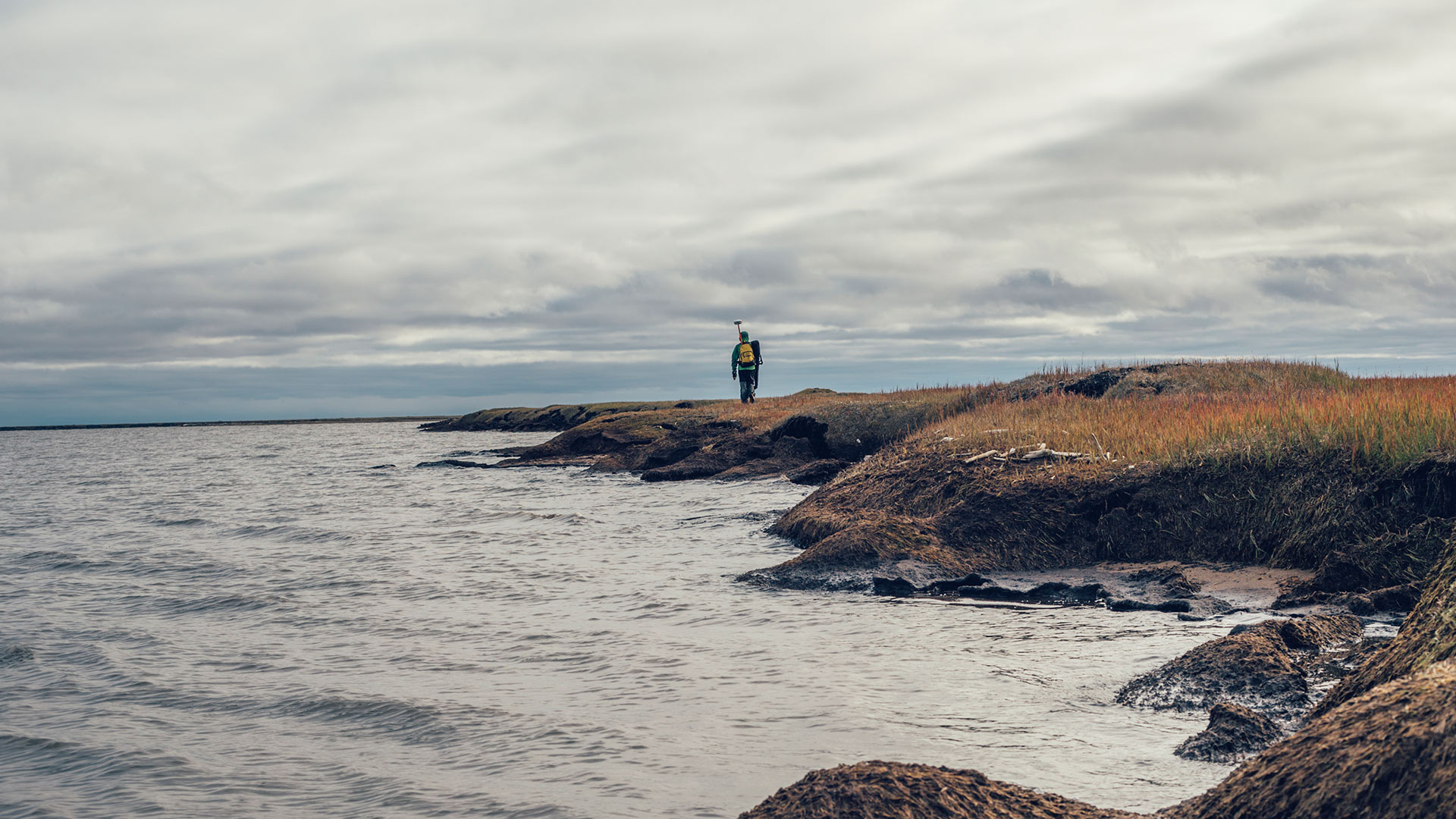 BAID | Barrow Area Information Database