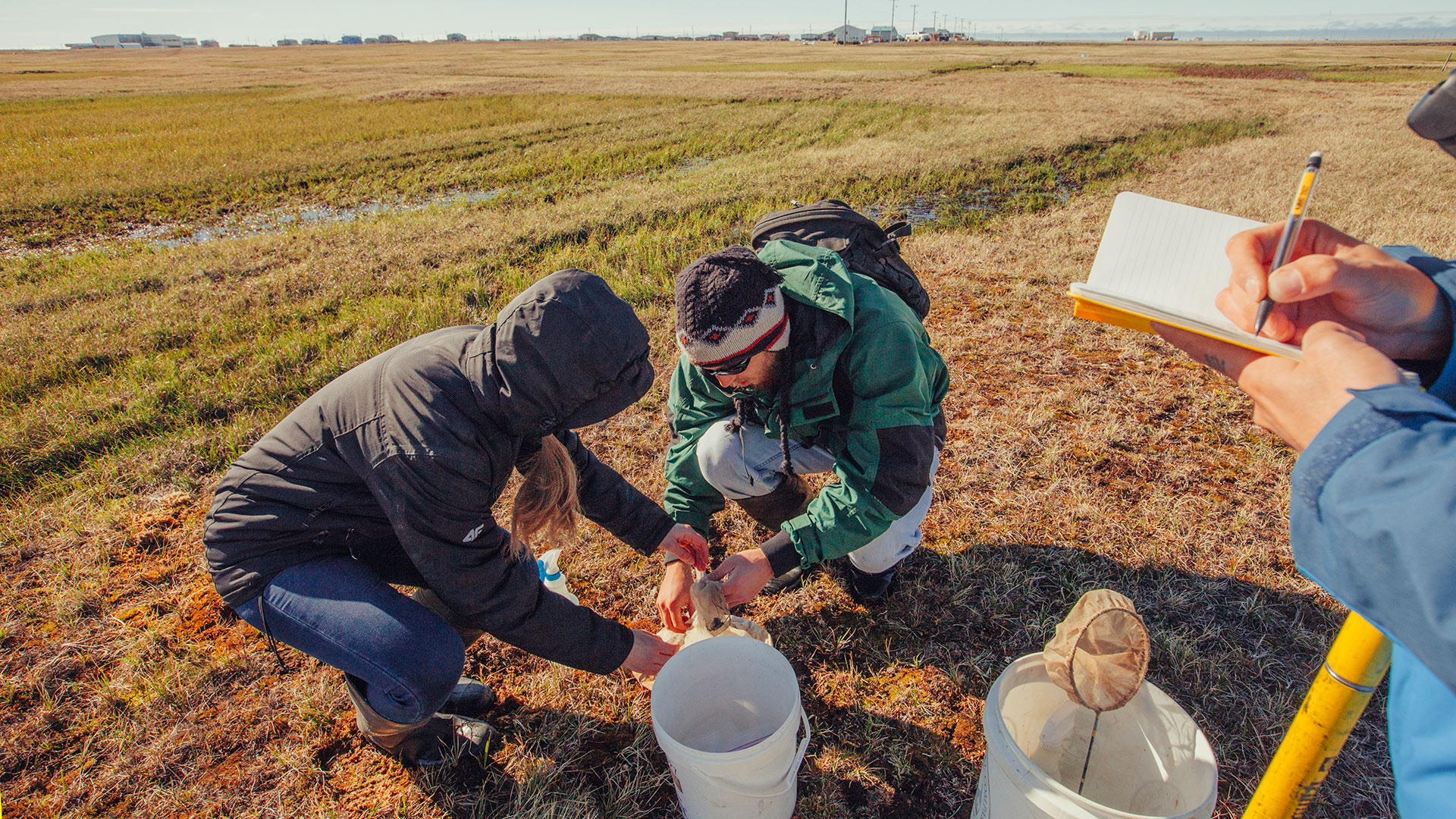 BAID | Barrow Area Information Database